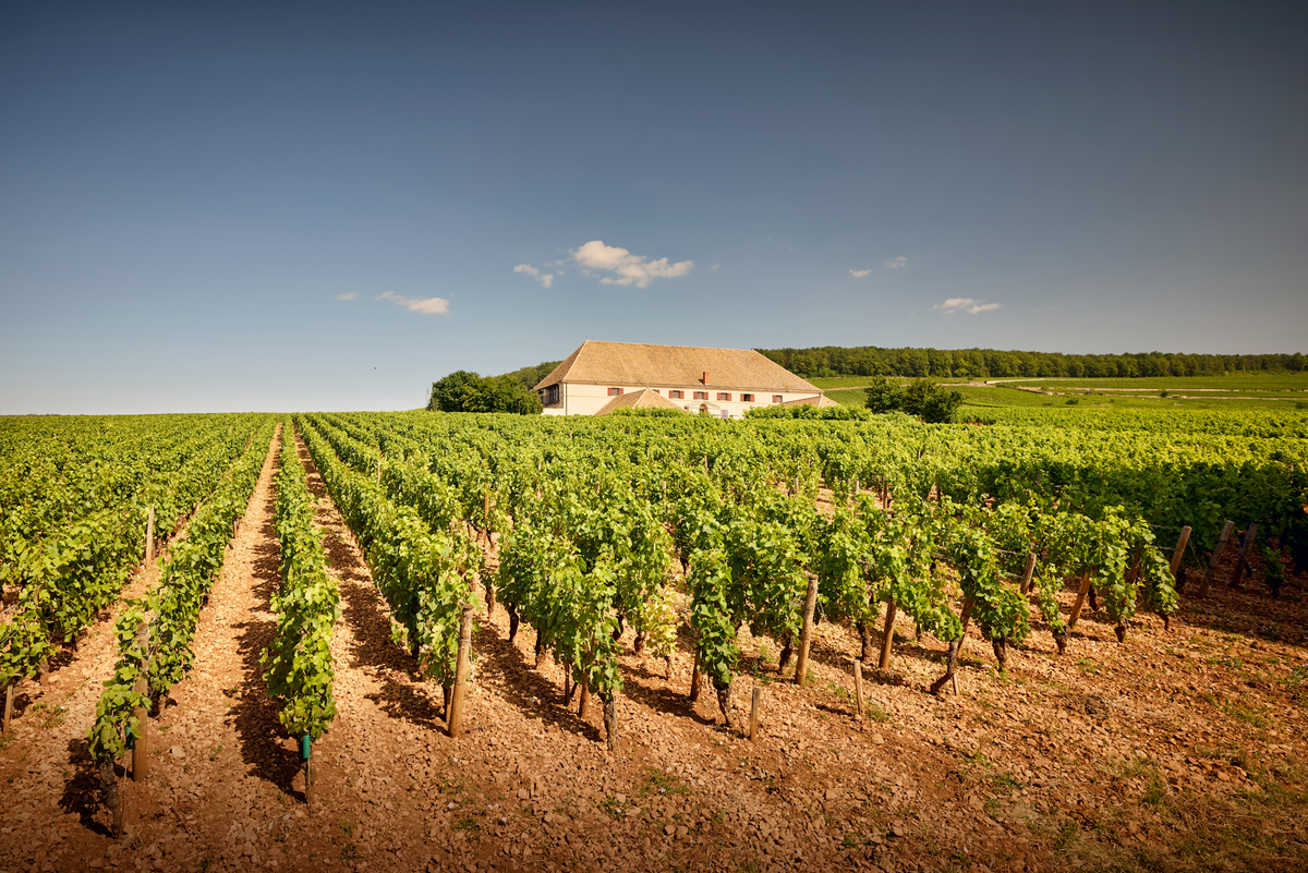 Louis Latour Wine